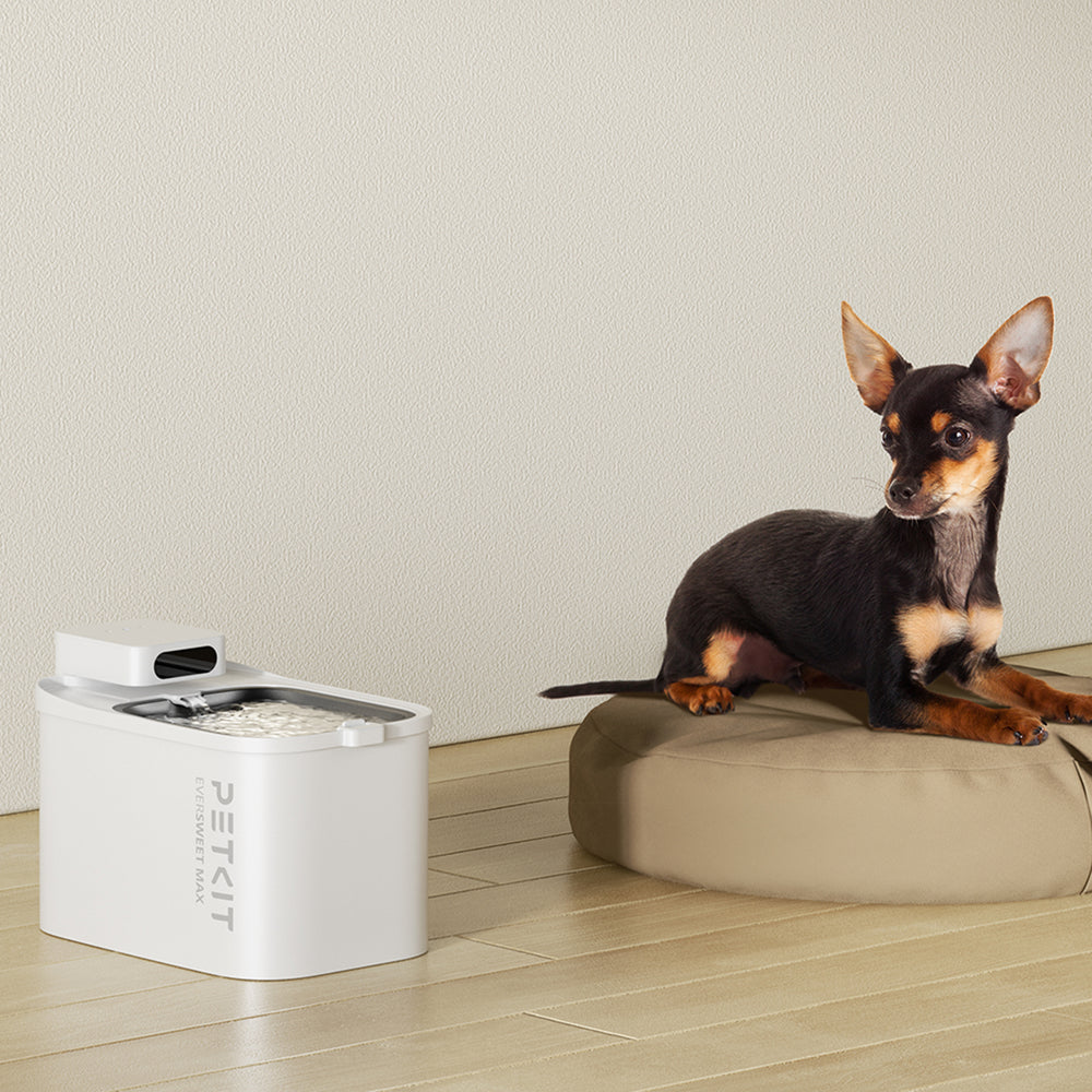 Complete Buying Guide: PETKIT PUROBOT Automatic Cat Litter Box Series