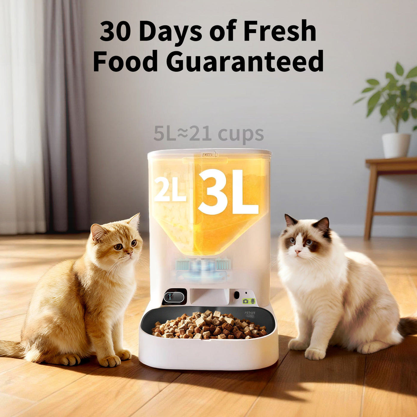YumShare Dual-hopper 2 Automatic Feeder with Cat Recognition