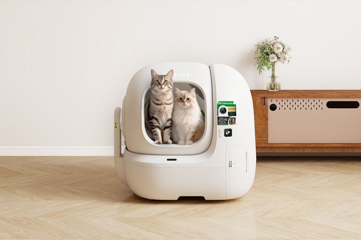 The Best Automatic Litter Boxes 2025: 8 Must-Have Features and Top Pic