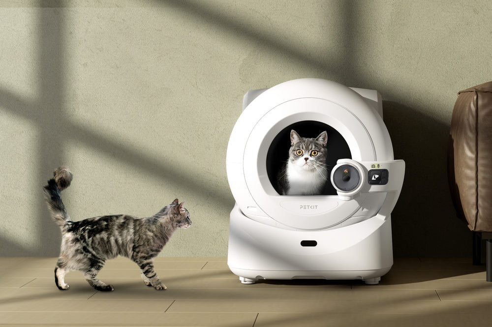 The Best Automatic Litter Boxes 2025: 8 Must-Have Features and Top Pic